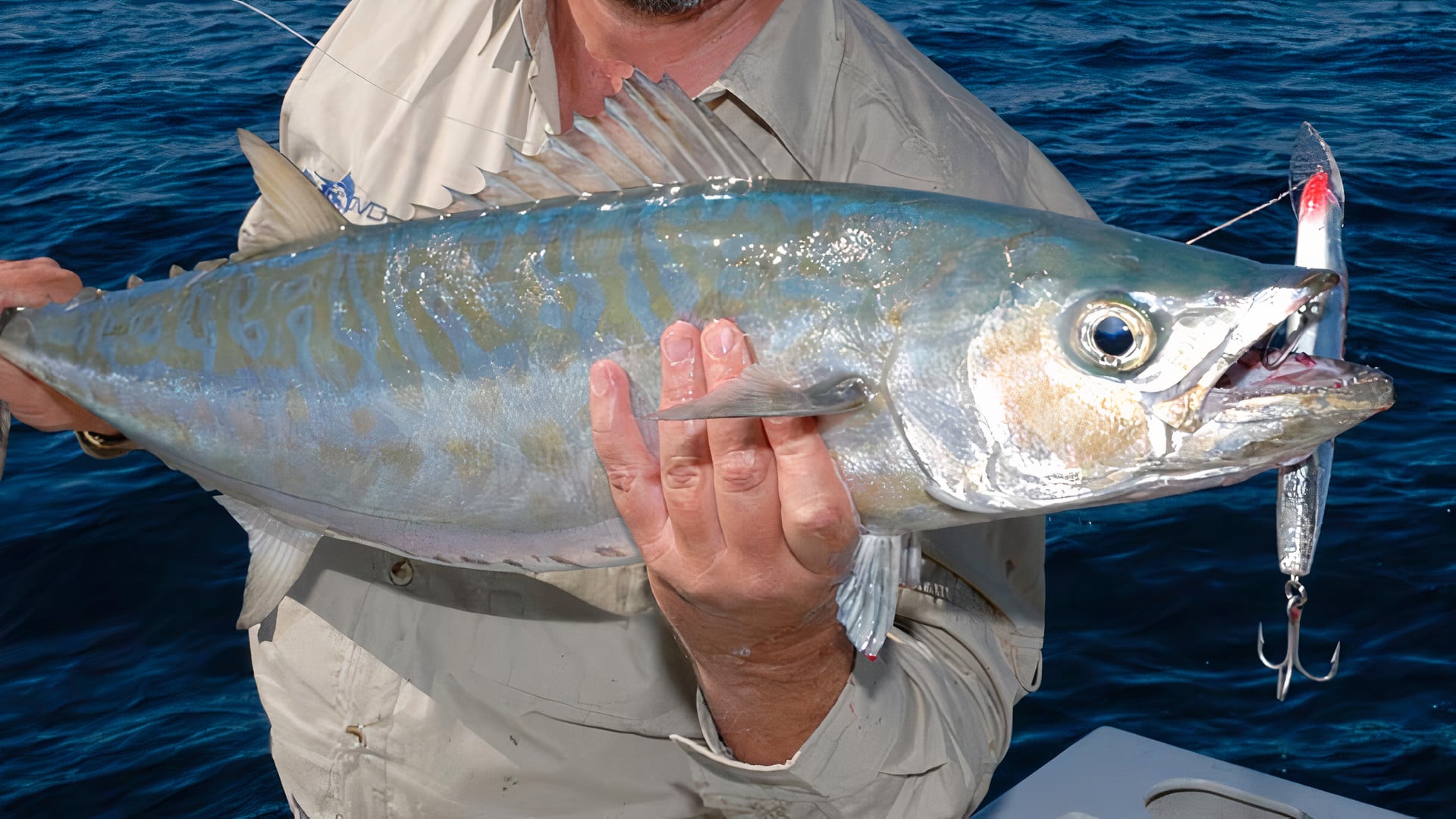 Spanish Mackerel - Fishing TV