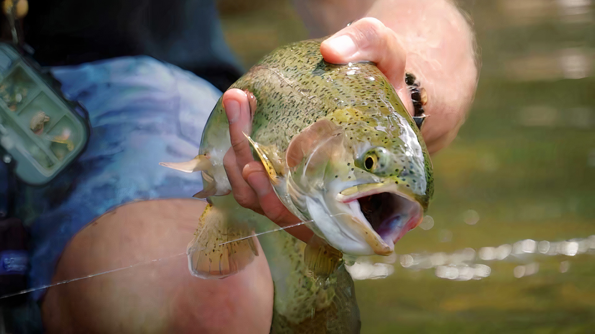 Broken Lines and Hearts - Fishing TV